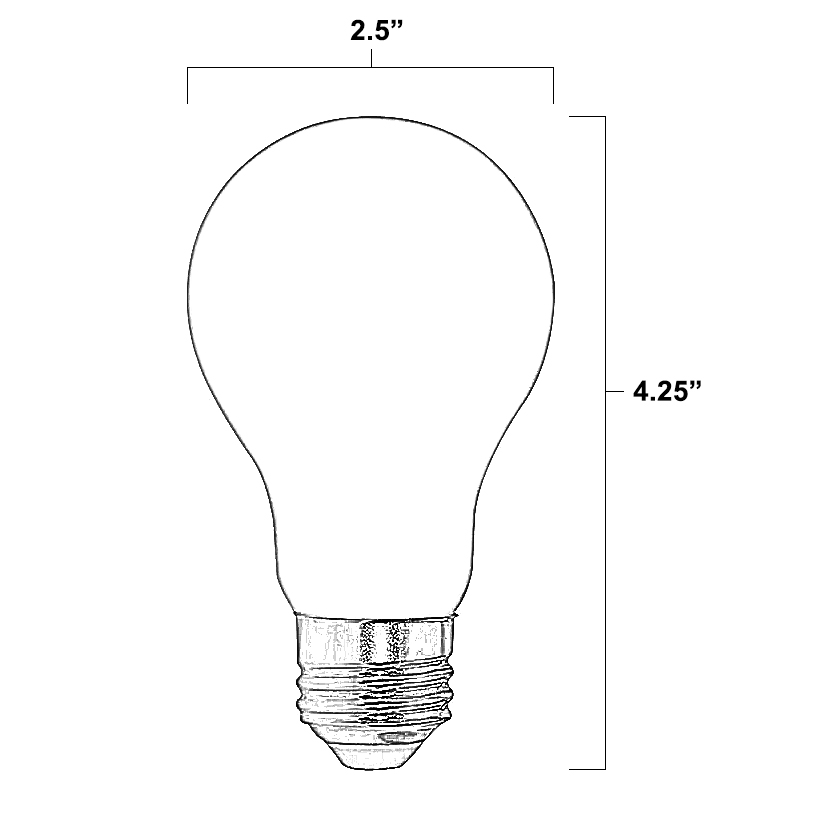 12V LED Milky White Filament A19 Light Bulb | AQLighting